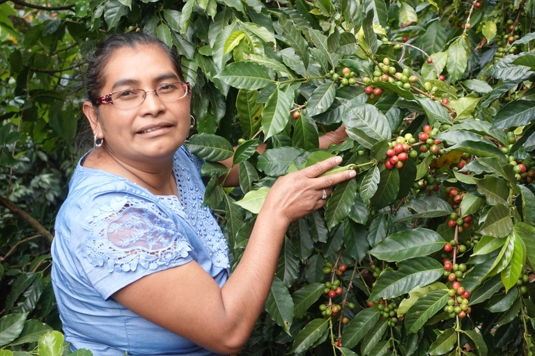 Guatemala Ella – Form & Function